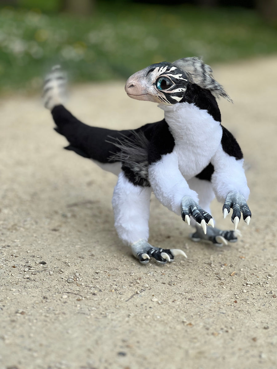 Mercurian raptor - black and white – Gift of Mercury