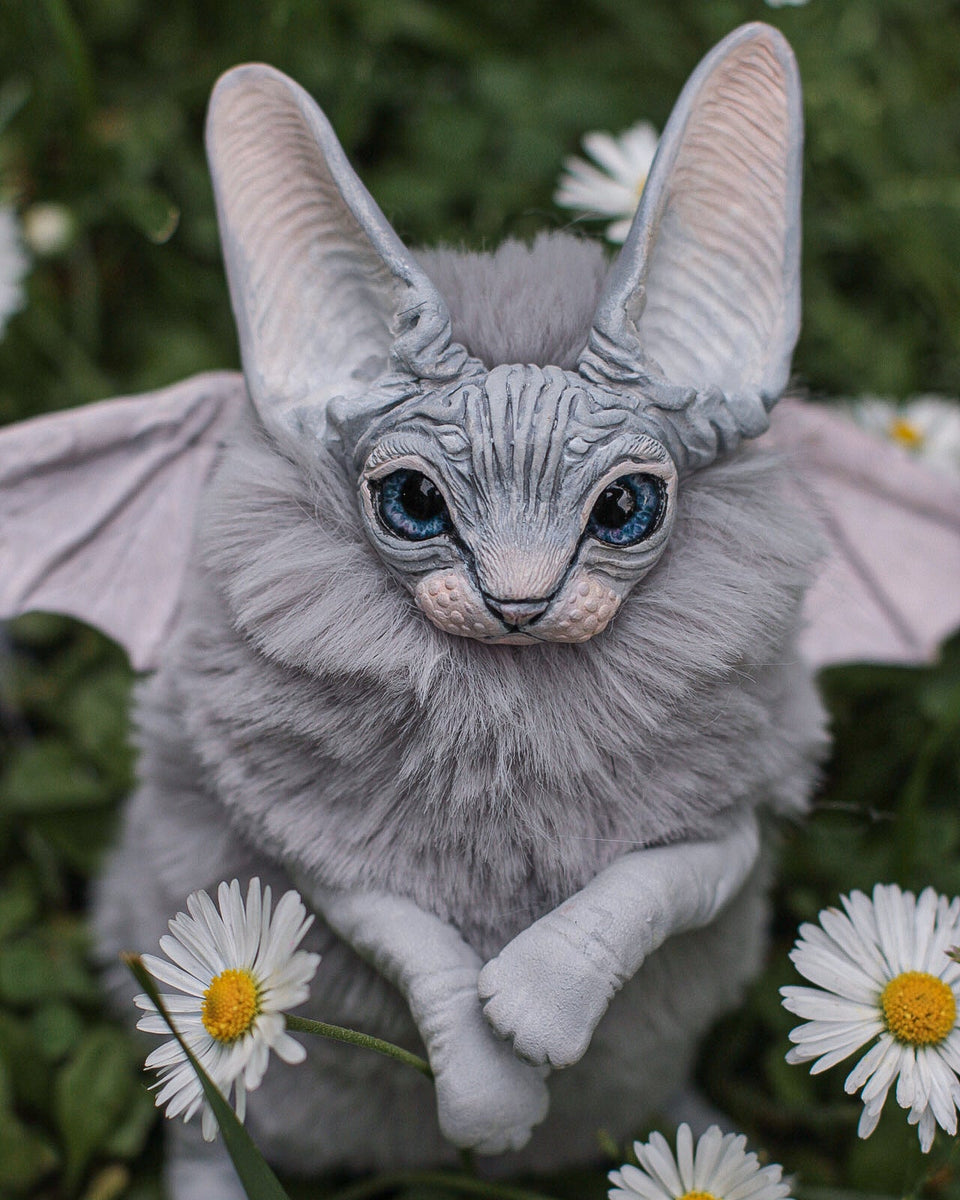 Grey baby batcat – Gift of Mercury