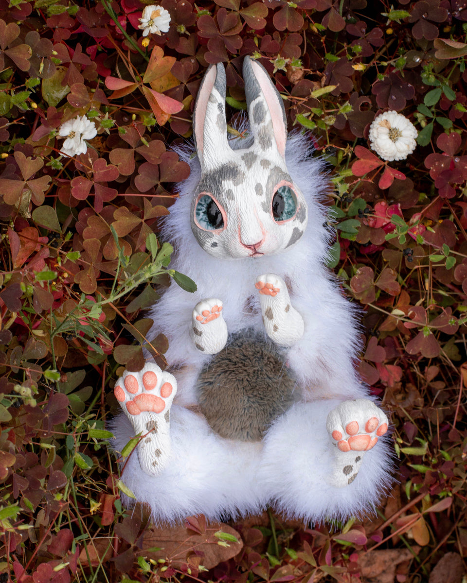 Baby hare– Spotted – Gift of Mercury