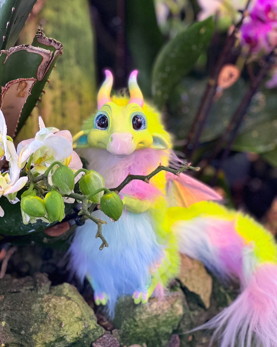 Sunny dragon – Gift of Mercury